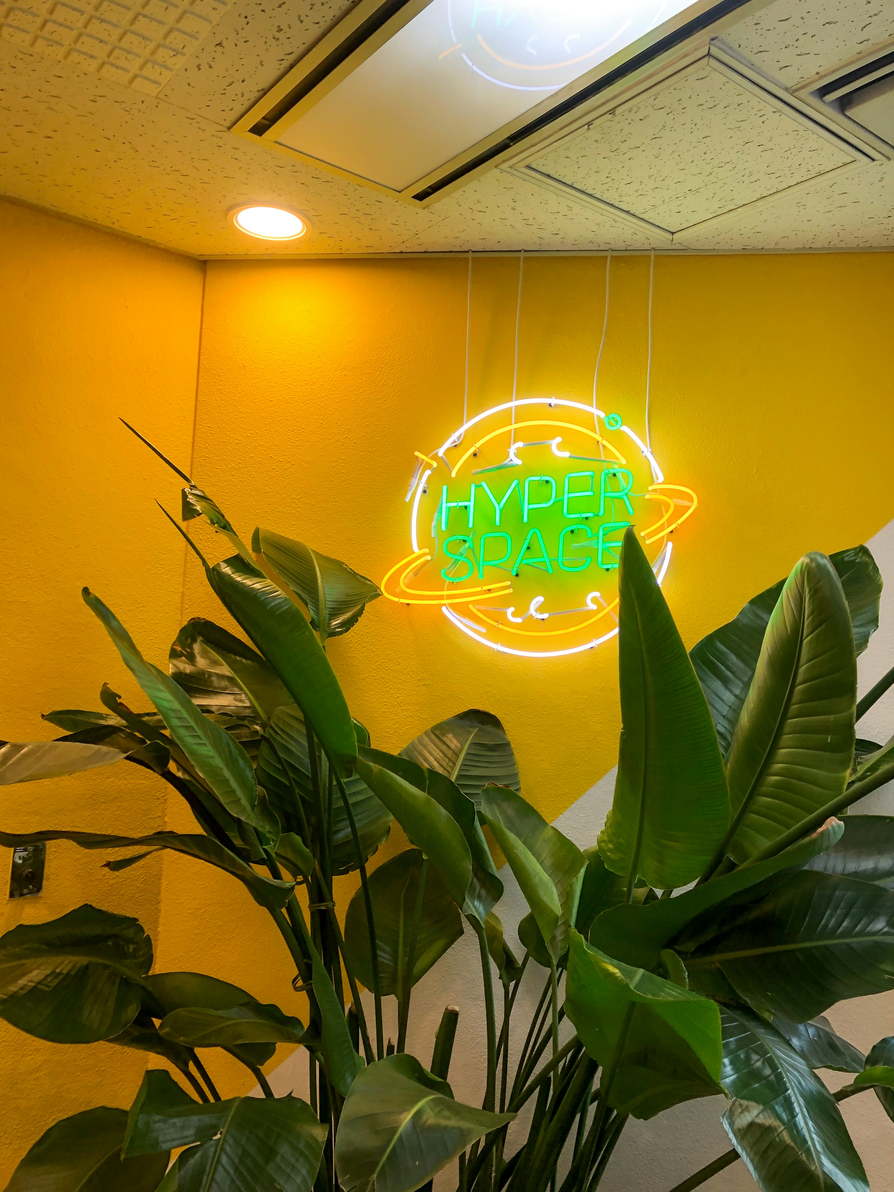 Cannabis Lounge: Brandon Levine - Mercy Wellness